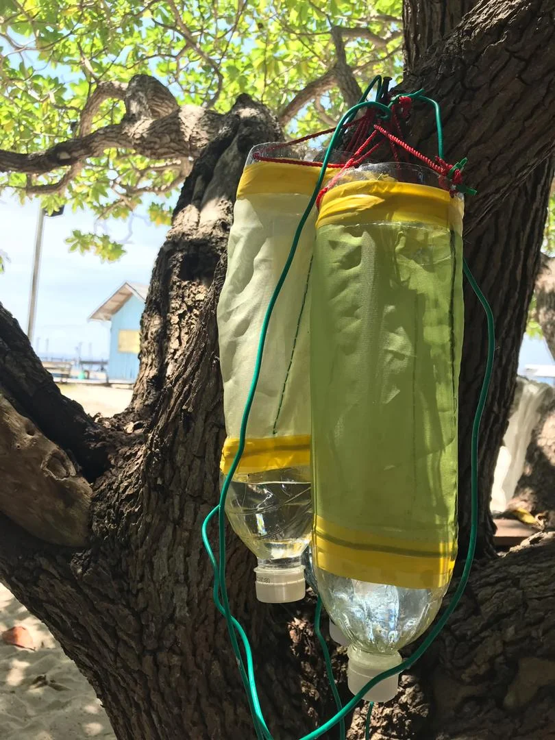 MARINE SCIENCE A LEVEL COURSE: PLANKTON EXPERIMENT — TRACC