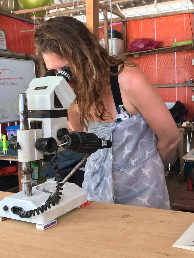 MARINE SCIENCE A LEVEL COURSE: PLANKTON EXPERIMENT — TRACC