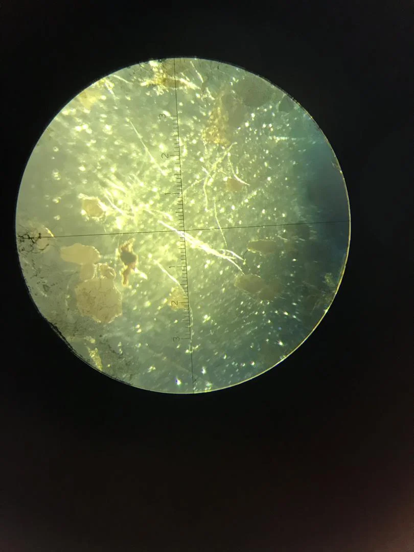 MARINE SCIENCE A LEVEL COURSE: PLANKTON EXPERIMENT — TRACC