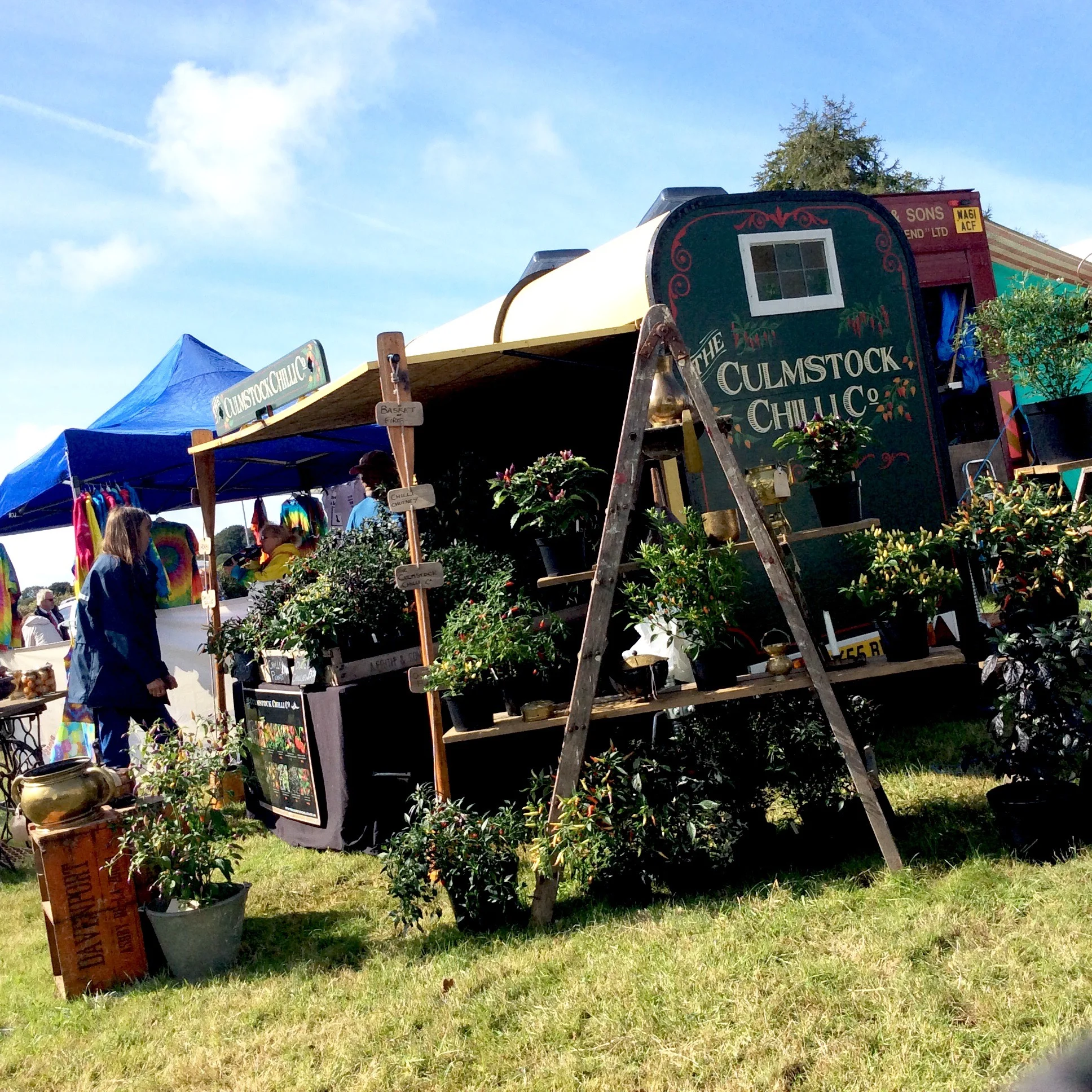 What's On — Widecombe Fair
