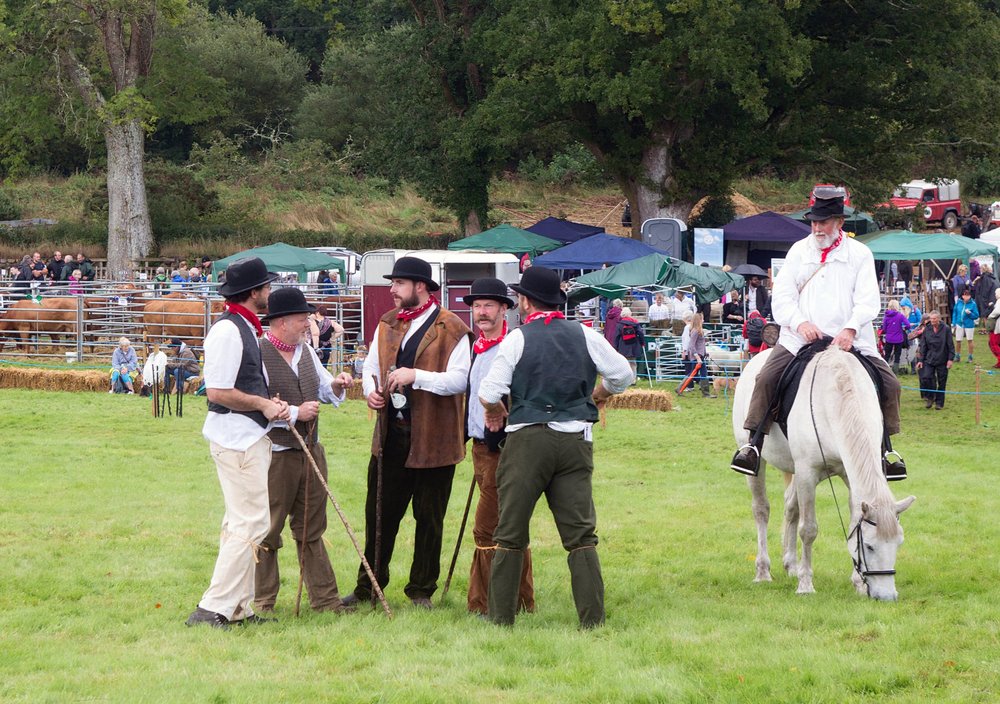 Buy Tickets — Widecombe Fair