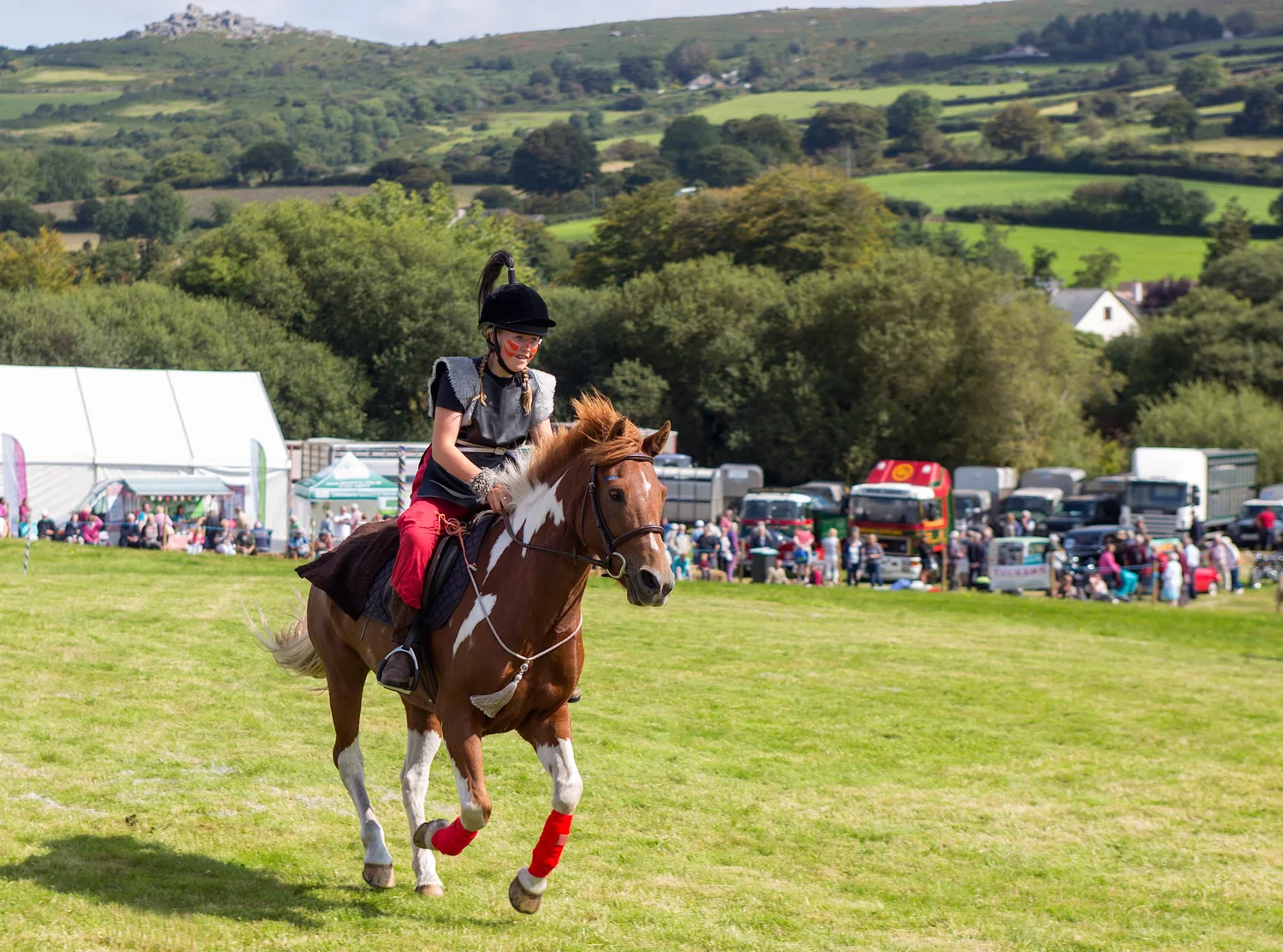 What's On — Widecombe Fair