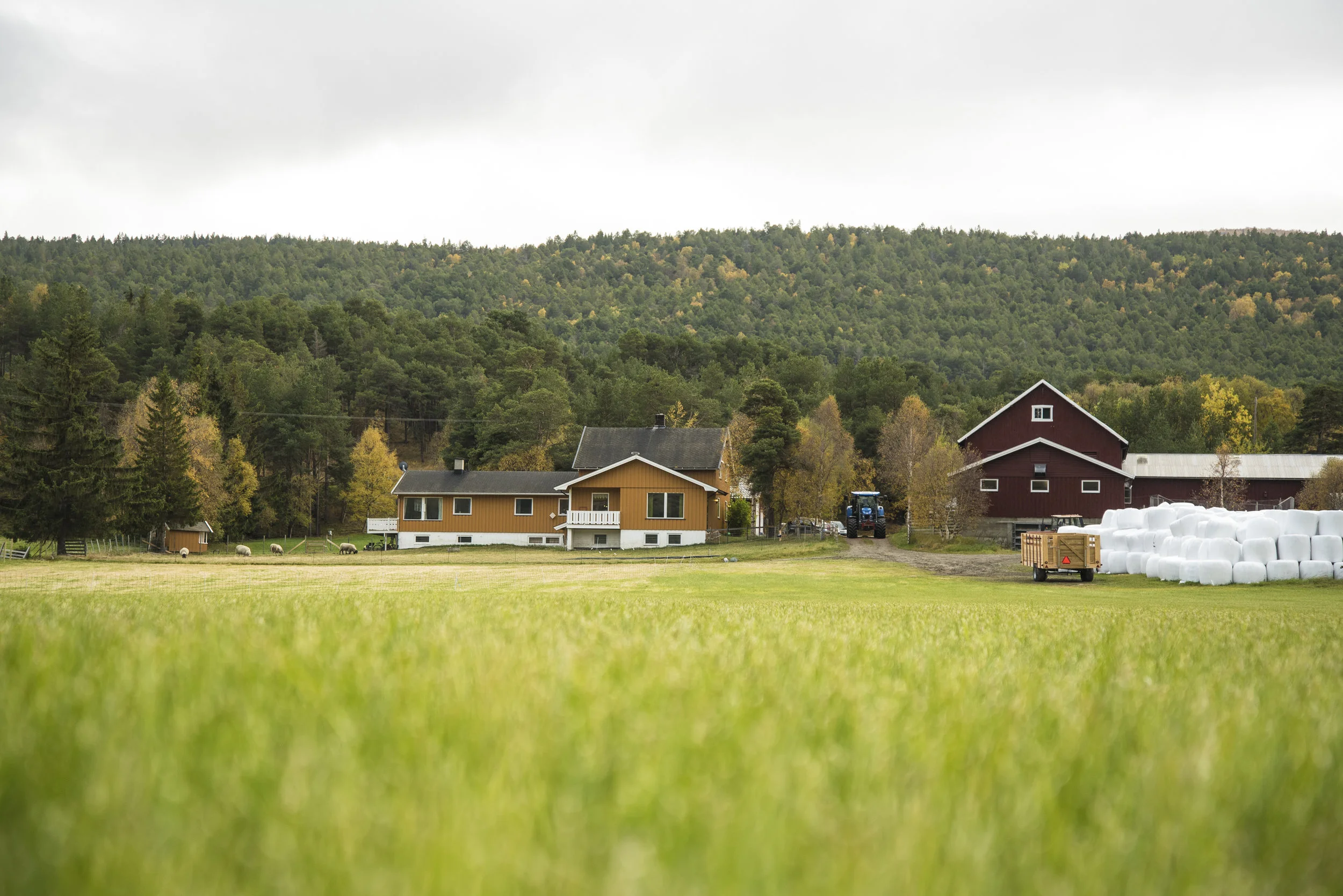 Om oss — Vidars Møbelsnekkeri