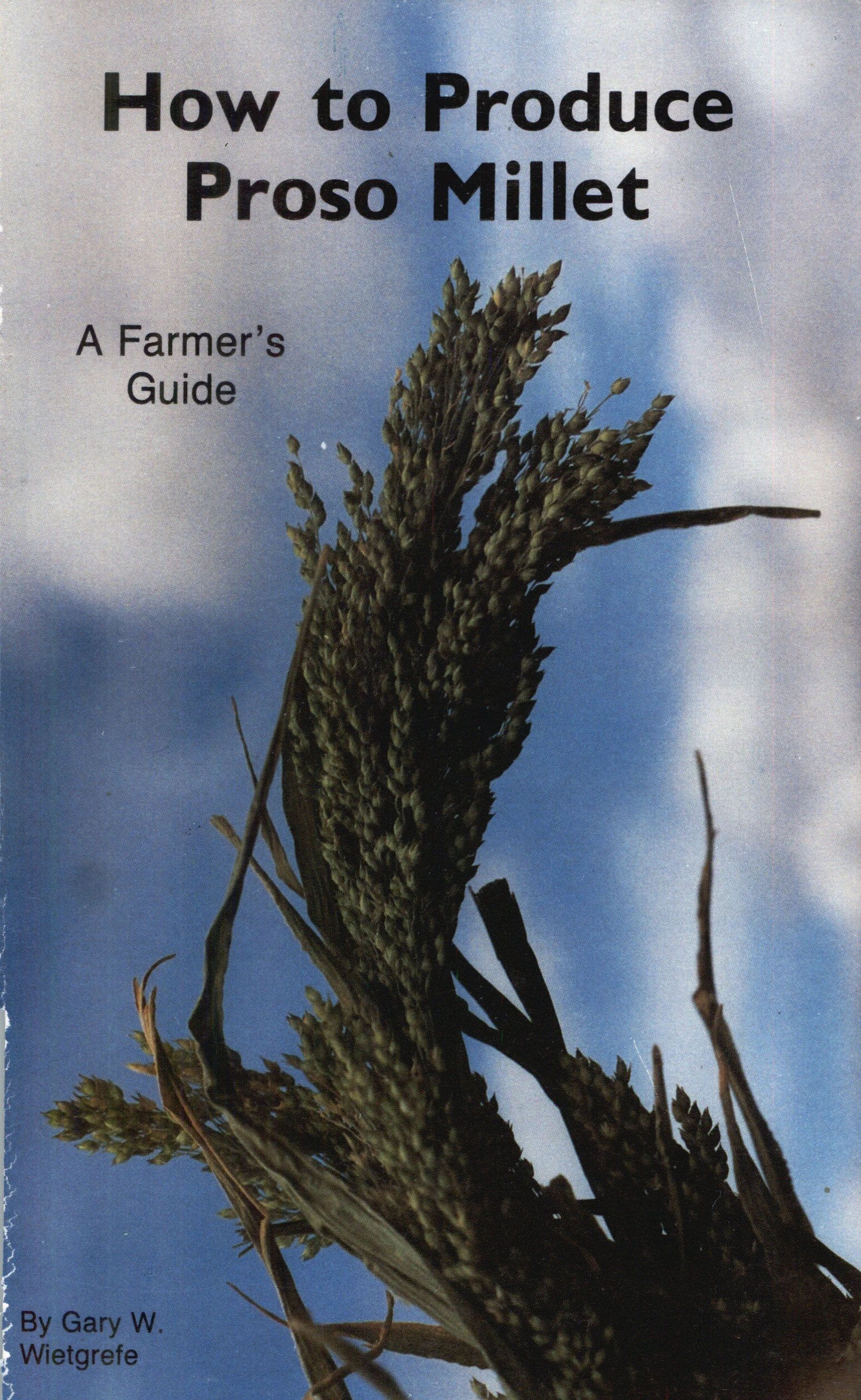 Culture, Learning, and Adventure Books