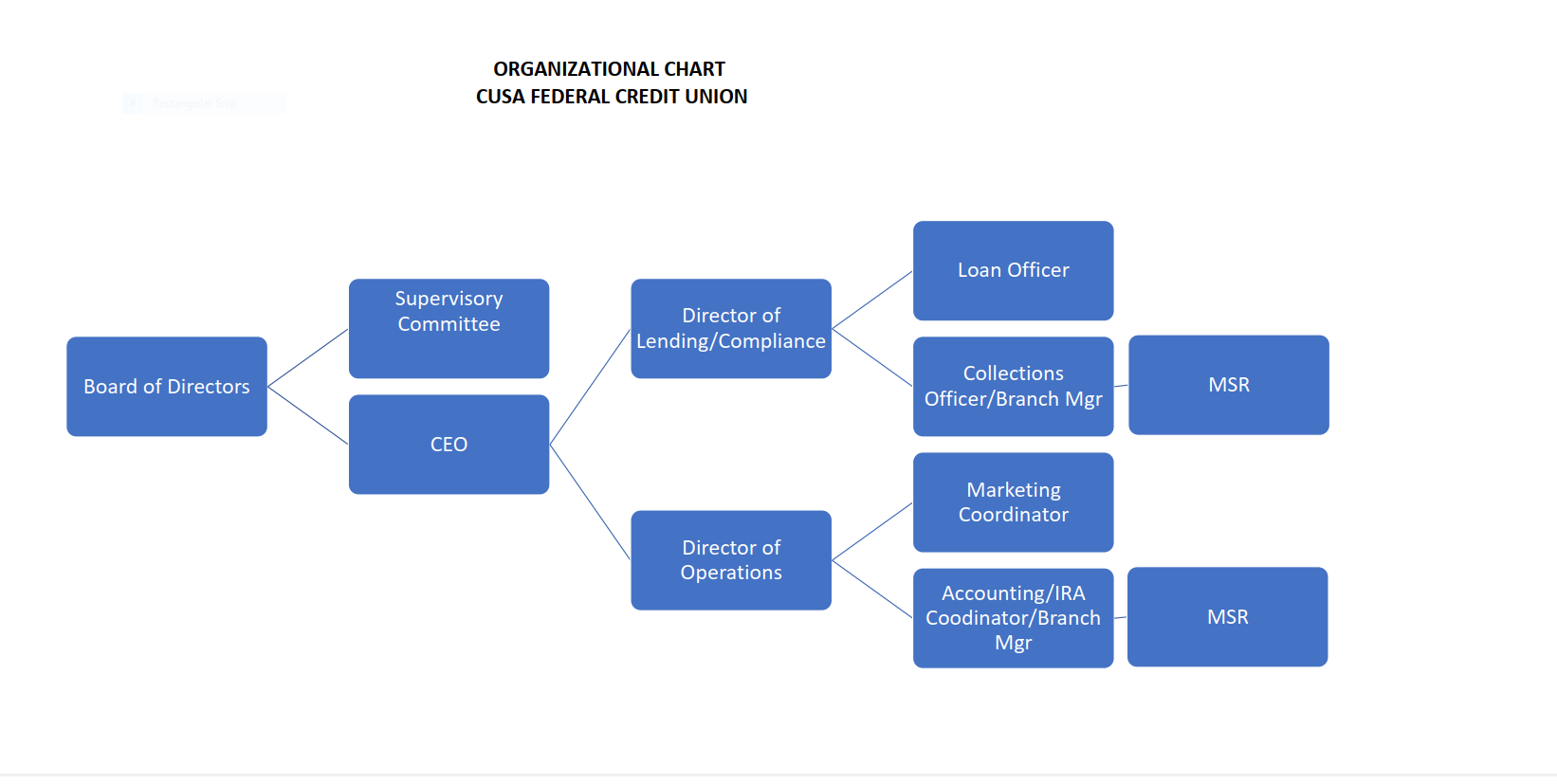 Org Chart — CUSA FCU