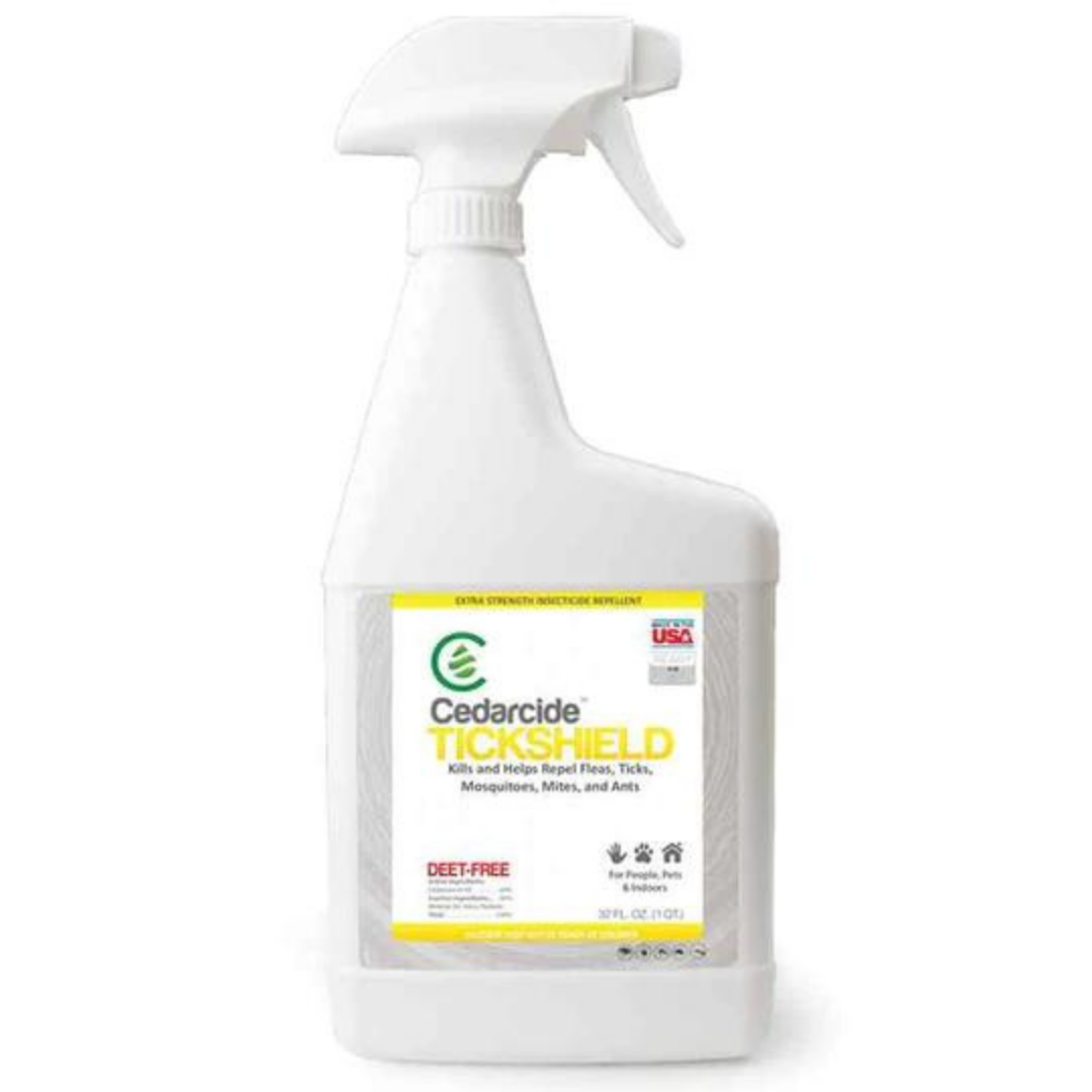 Healthy Home — Healthy Families for God