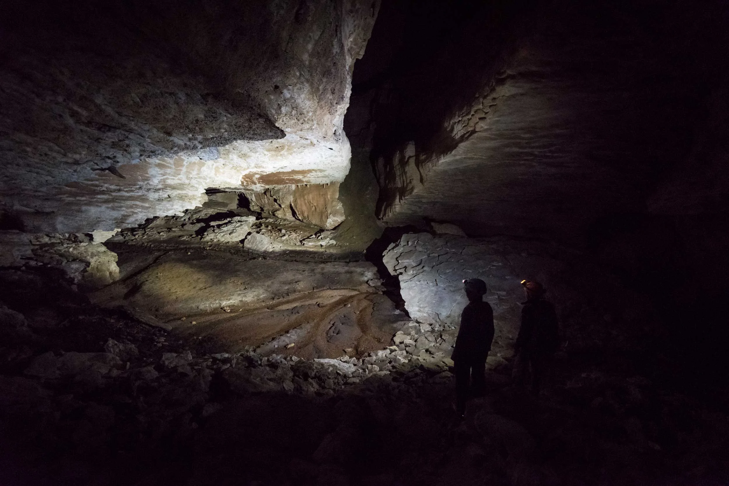Kahurangi National Park Guided Walk & Cave Tours West Coast