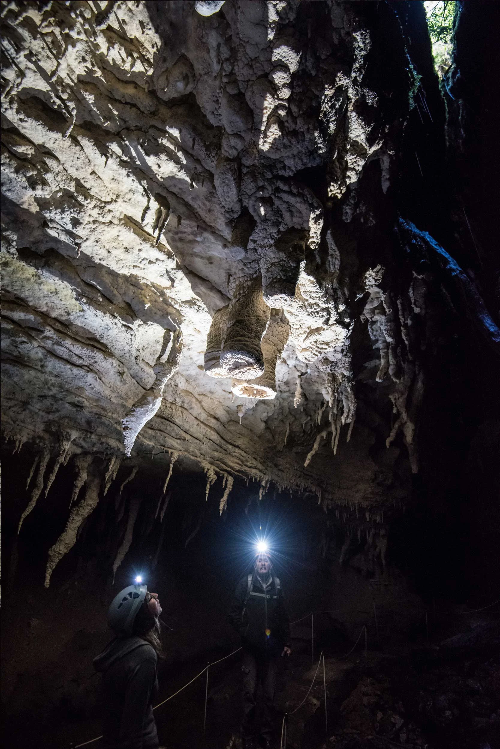 Guided Tours - The Oparara Guided Tours