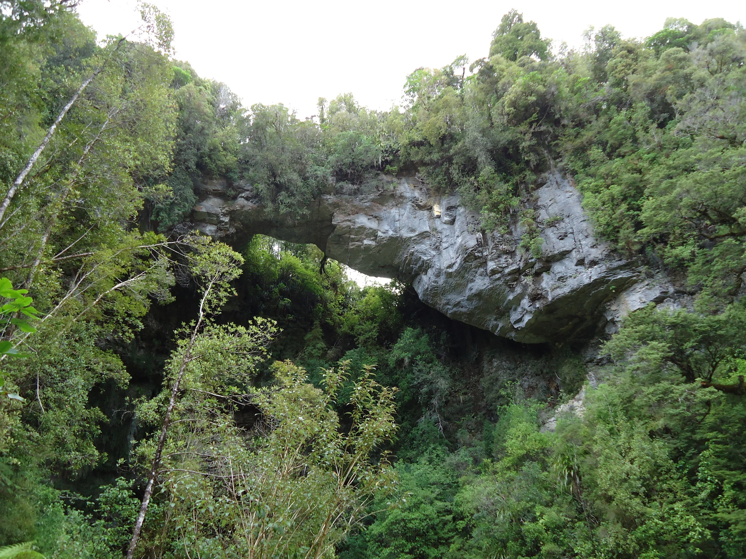 History of the Oparara - The Oparara Guided Tours