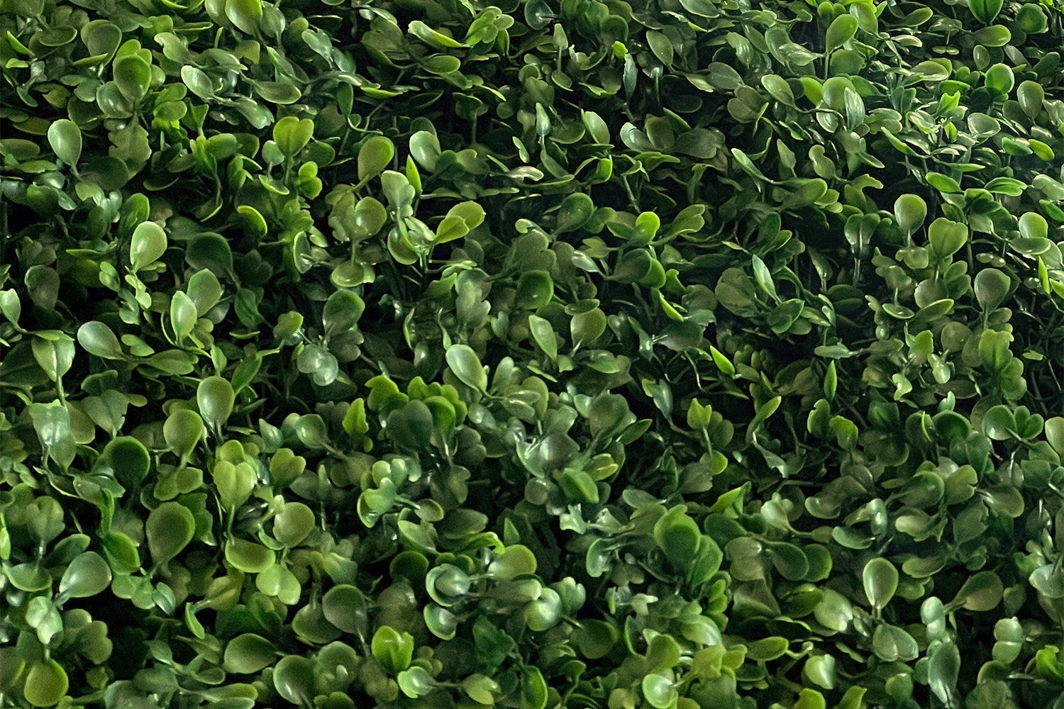 Boxwood Hedge Backdrop | Droll Photobooth Co.