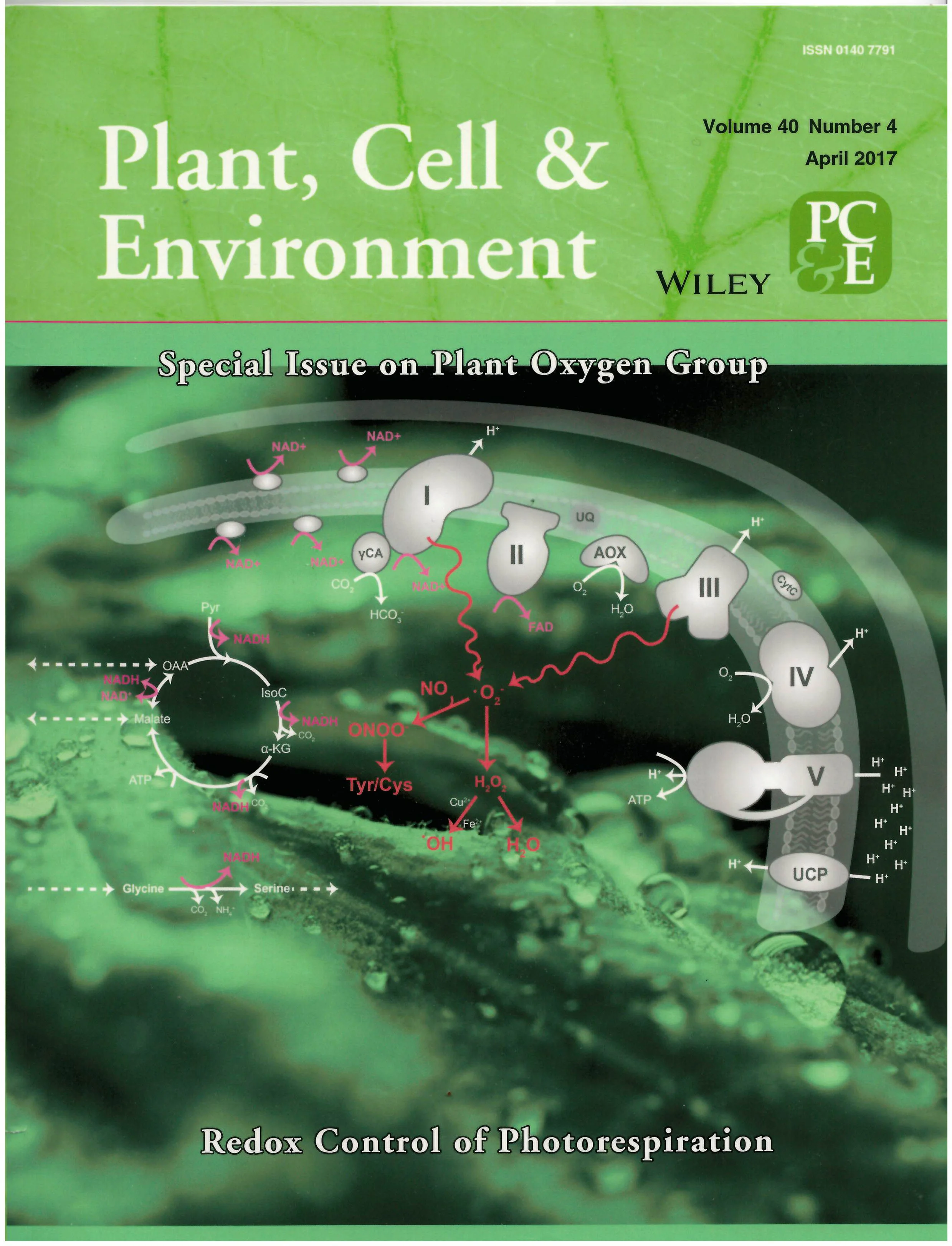 Cover/Flyer Illustrations — DC SciArt