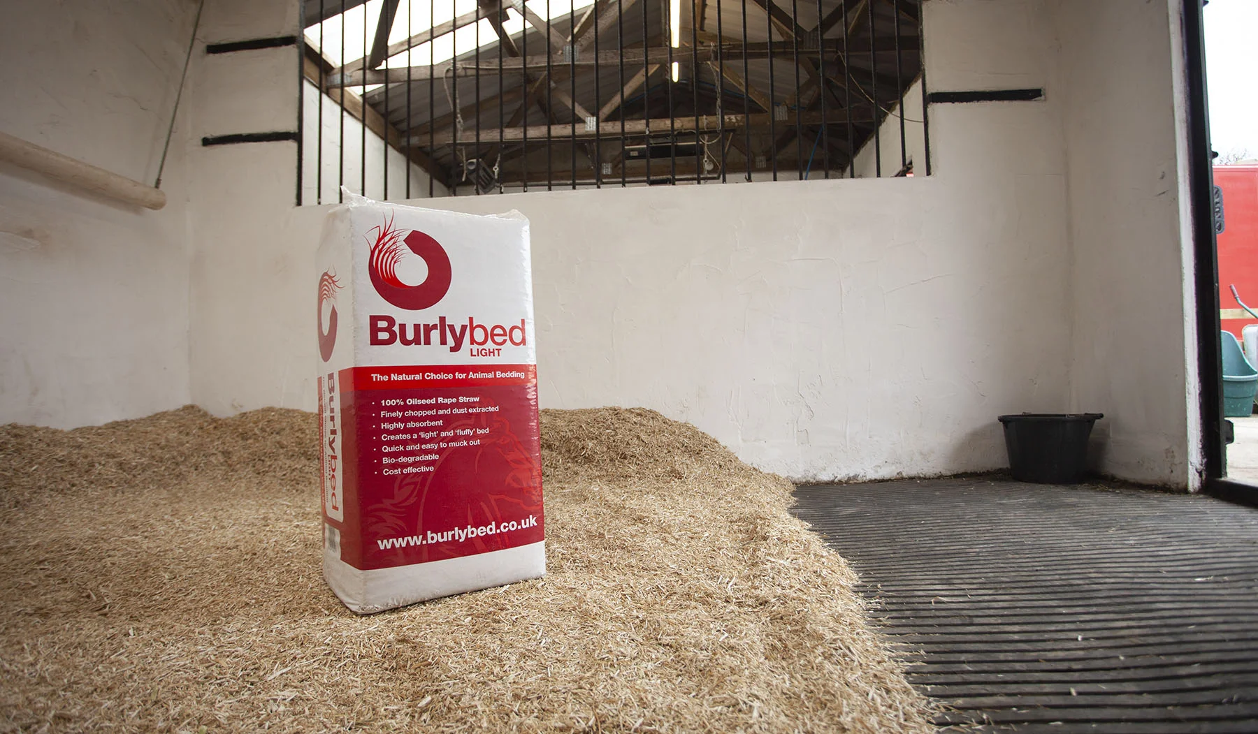 Burlybed Light — Burlybed