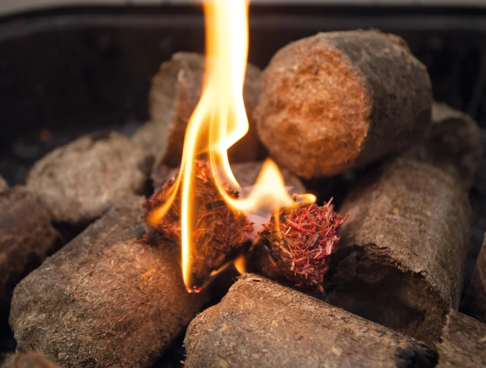 Burlyburn Firelighters — Burlybed