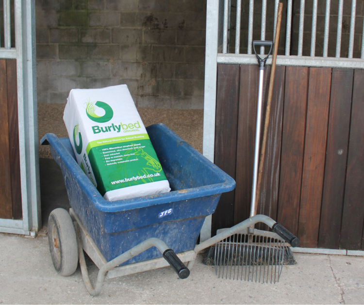 Burlybed Original — Burlybed