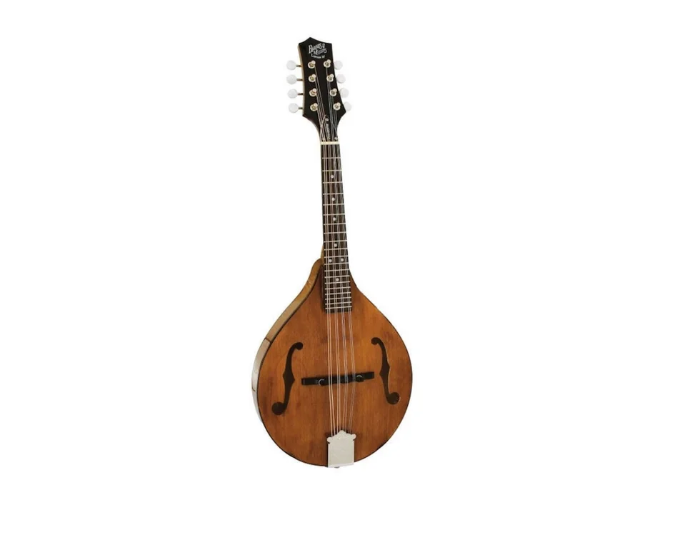 Mandolins — Powells Music Shop