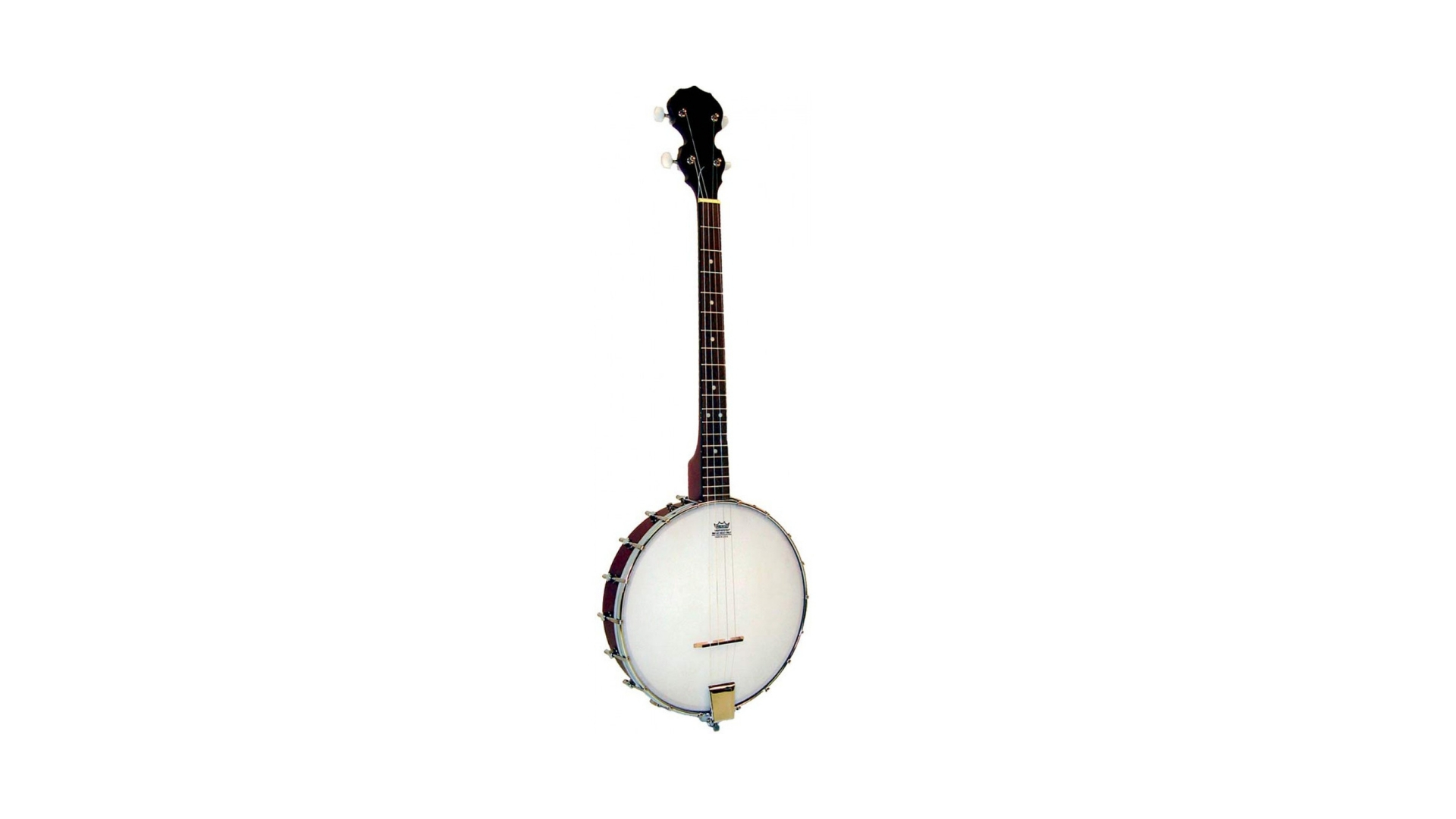 Banjos — Powells Music Shop