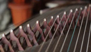 Traditional Strings — Powells Music Shop