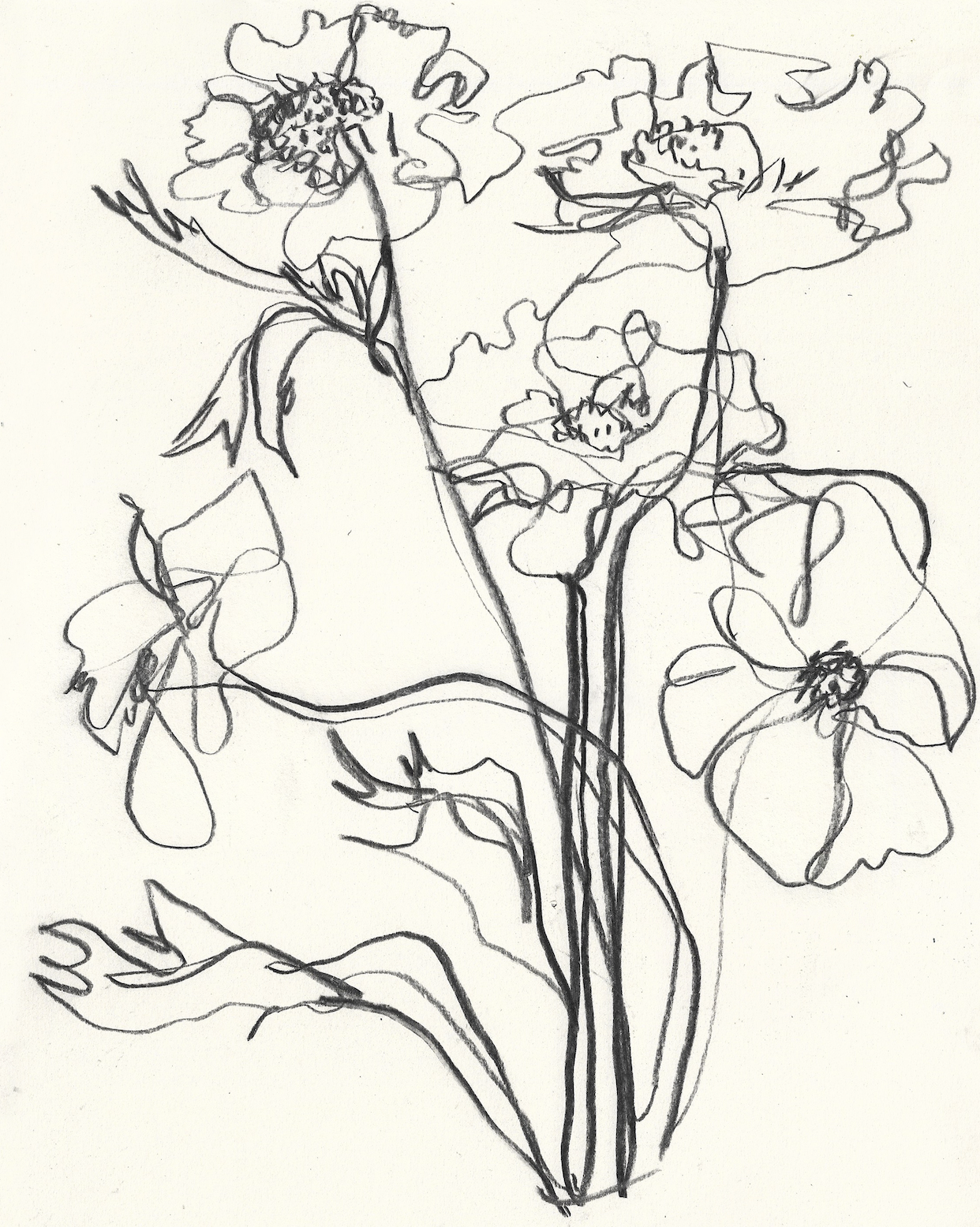 Jessica Rose Bird - Fashion Illustrator & Artist, London based.
