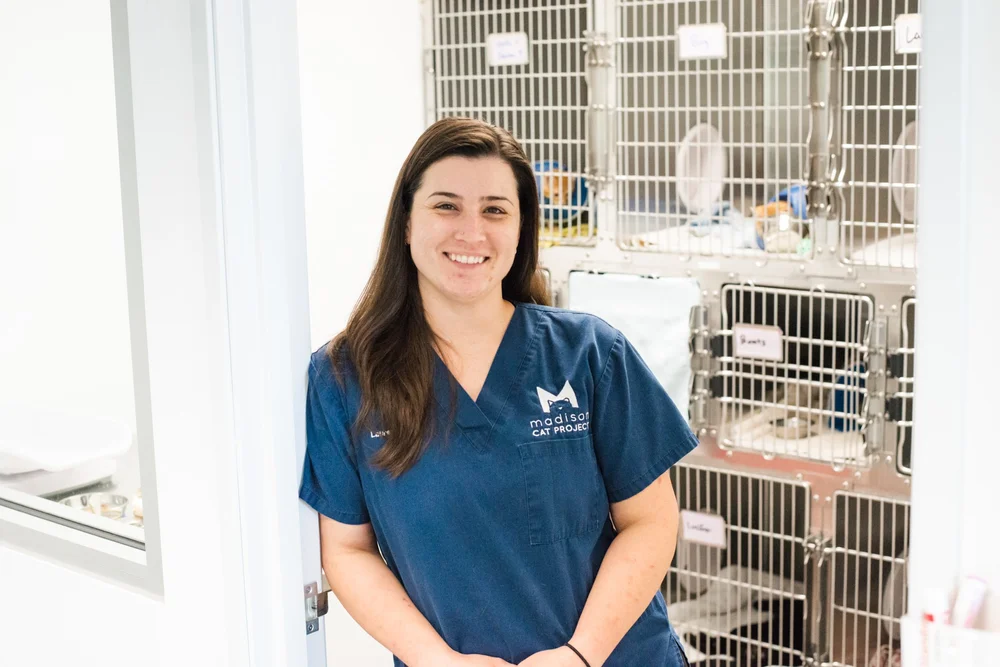 Our Team — Madison Cat Project