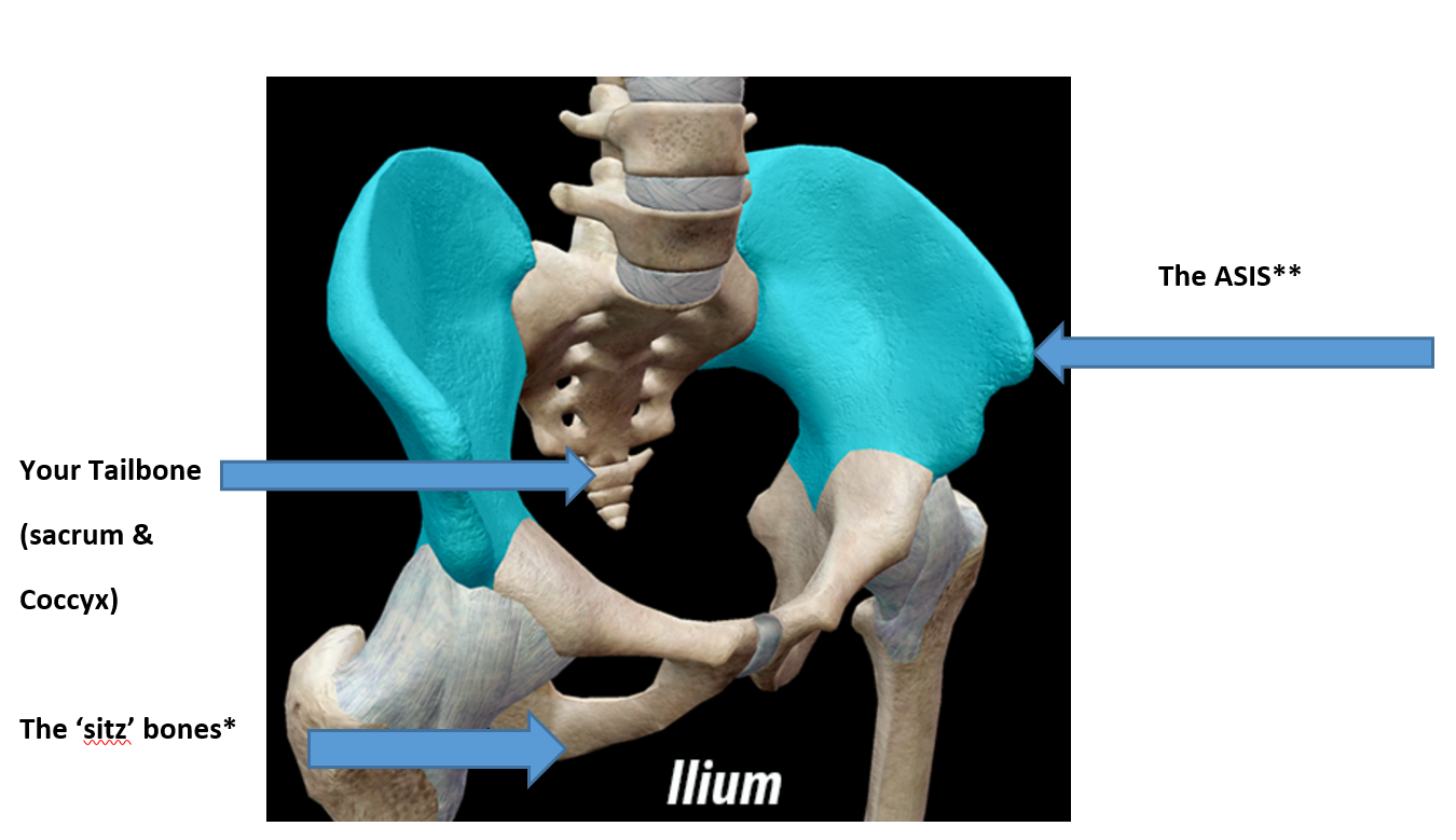 Your Pelvis and Pilates — Positive Pilates Solihull