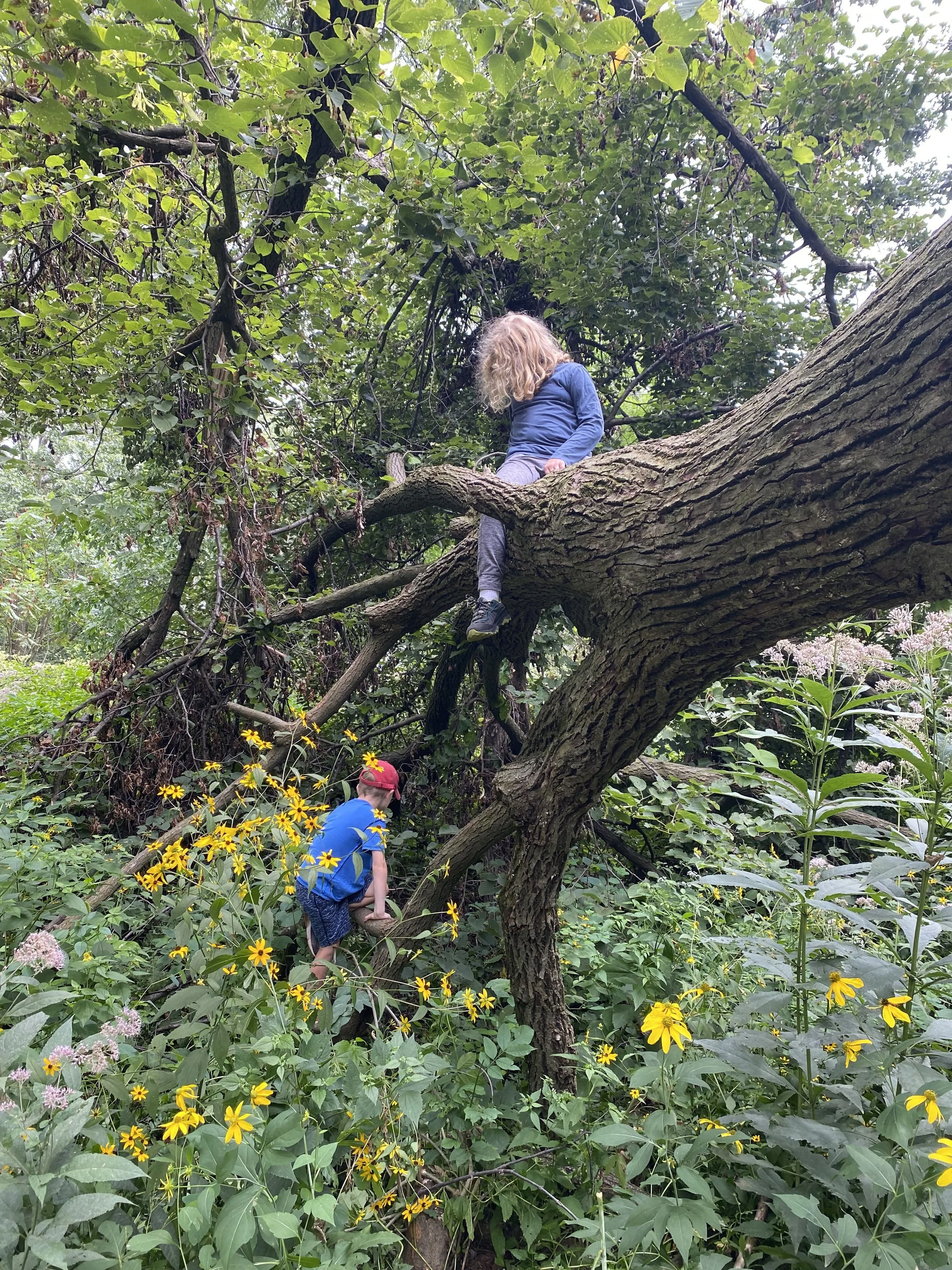 Outdoor Kids OT