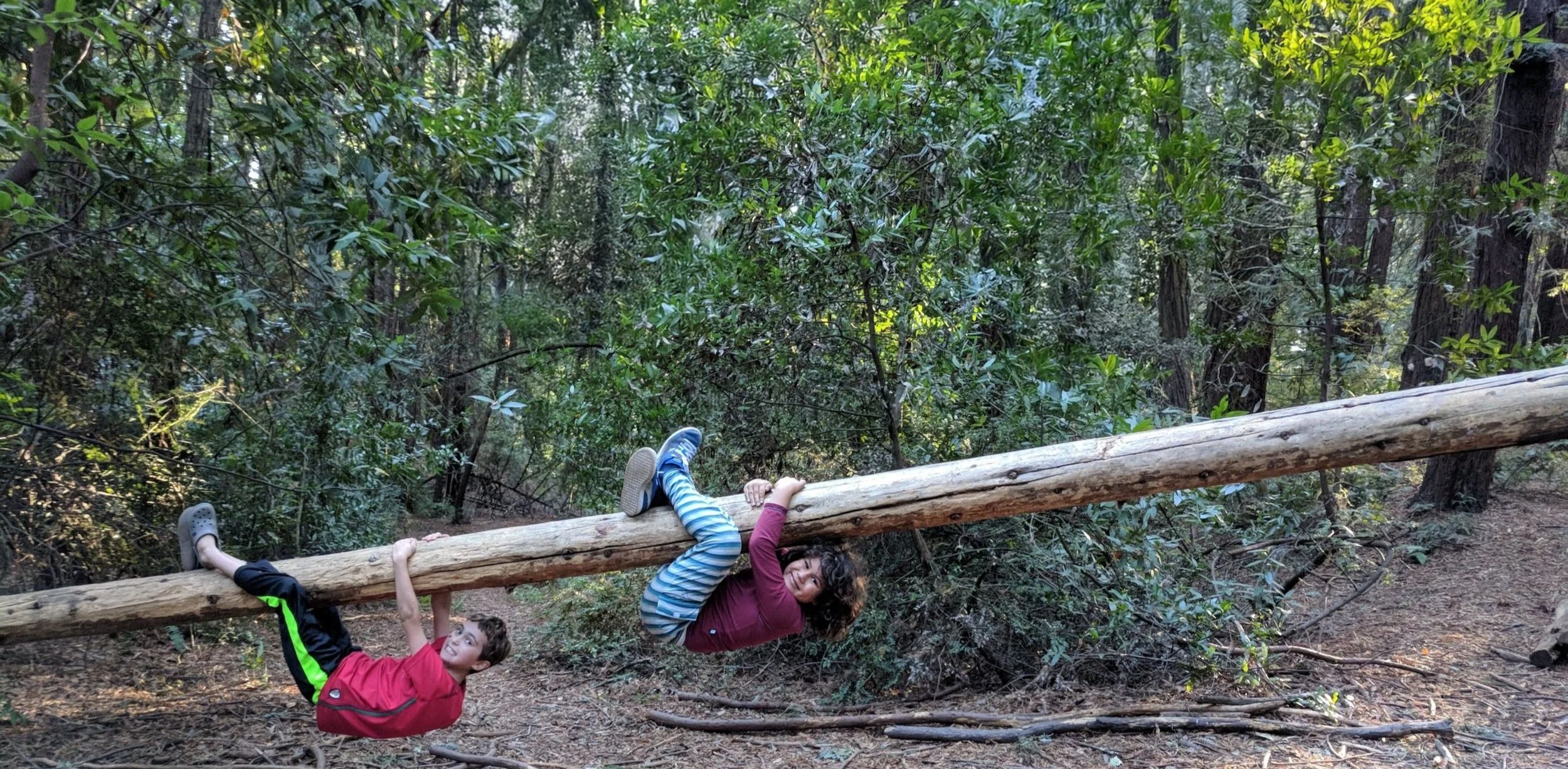 Summer Camp — Outdoor Kids OT