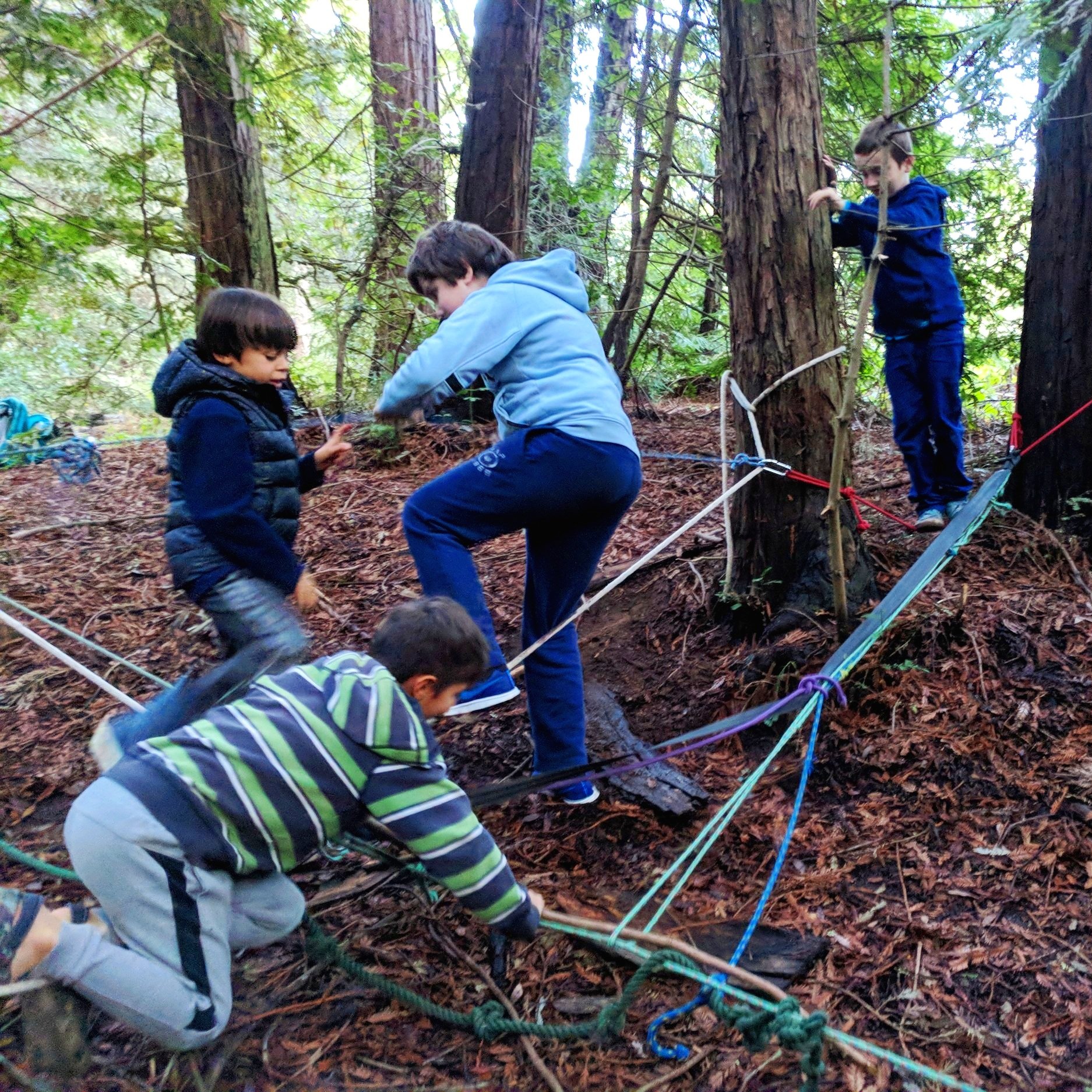 Outdoor Kids Occupational Therapy Group in Berkeley & Oakland ...