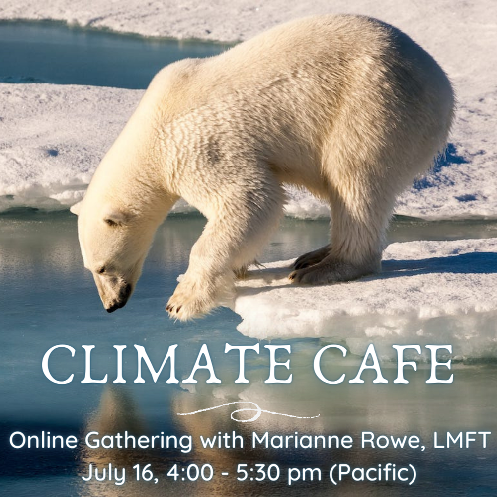 Climate Cafe: What's Your Weather? — Monterey Bay Meditation Studio ...