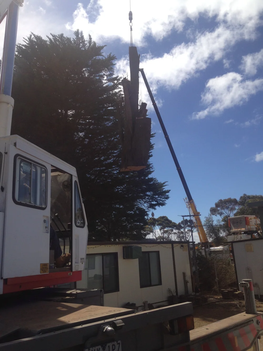 Photos & Videos — TREE TOP TOWER HIRE