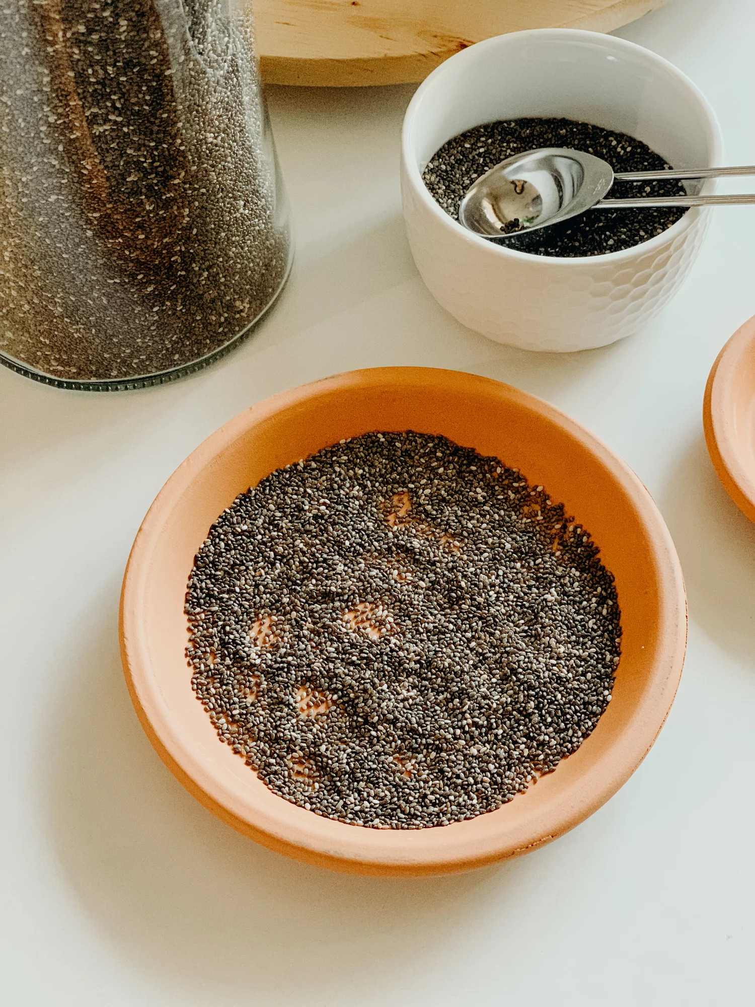 How + Why to Sprout Your Own Chia Seeds — HIVEhome