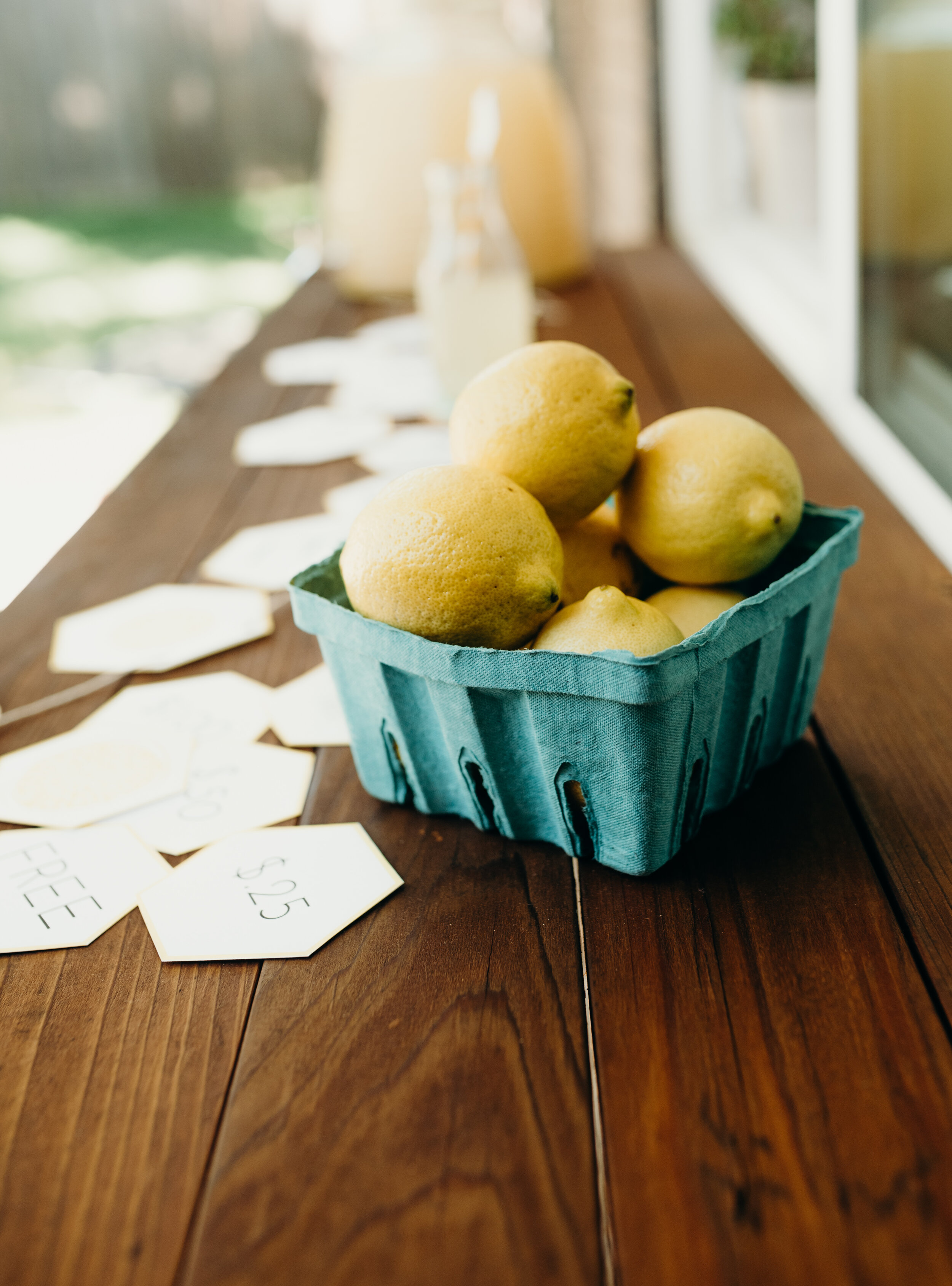 Paleo Lemonade- 10 Ways — HIVEhome