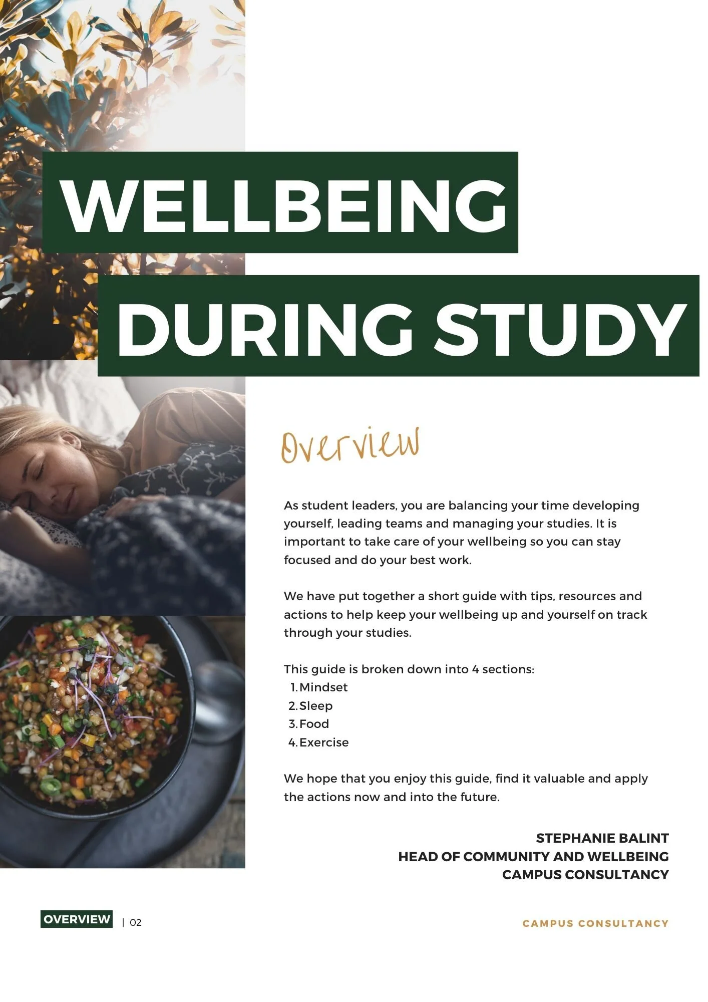 Campus Consultancy: University Club & Society Leadership Training