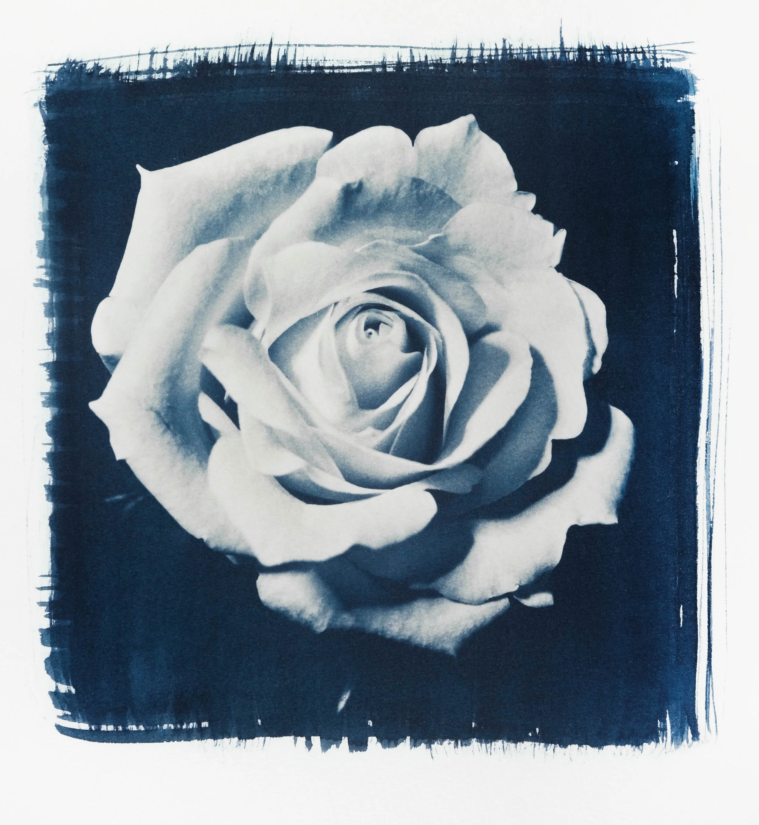 In Conversation With... David Corio — Elliott Gallery