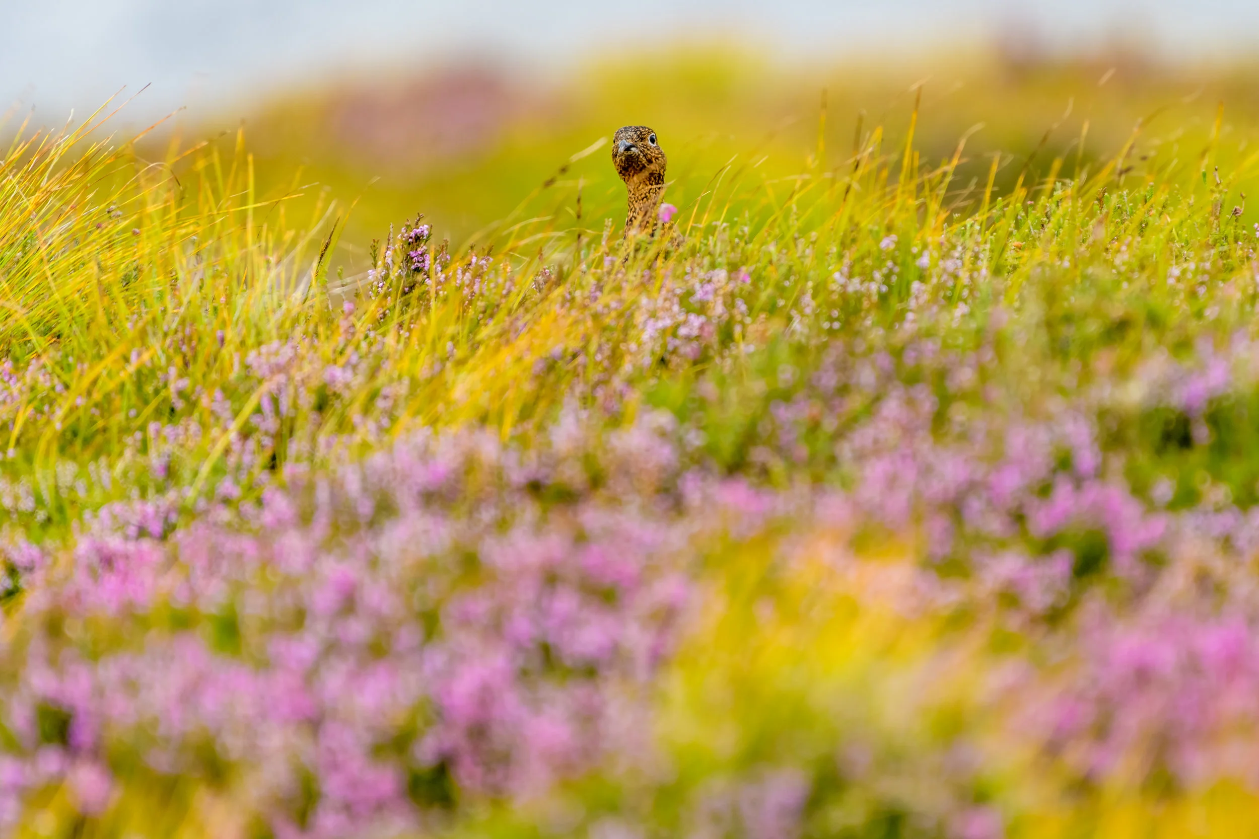 Home — Daniel Hauck Photography