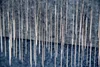 Of Materials and Making — Claire Benn | Textile Artist | Textile Artist