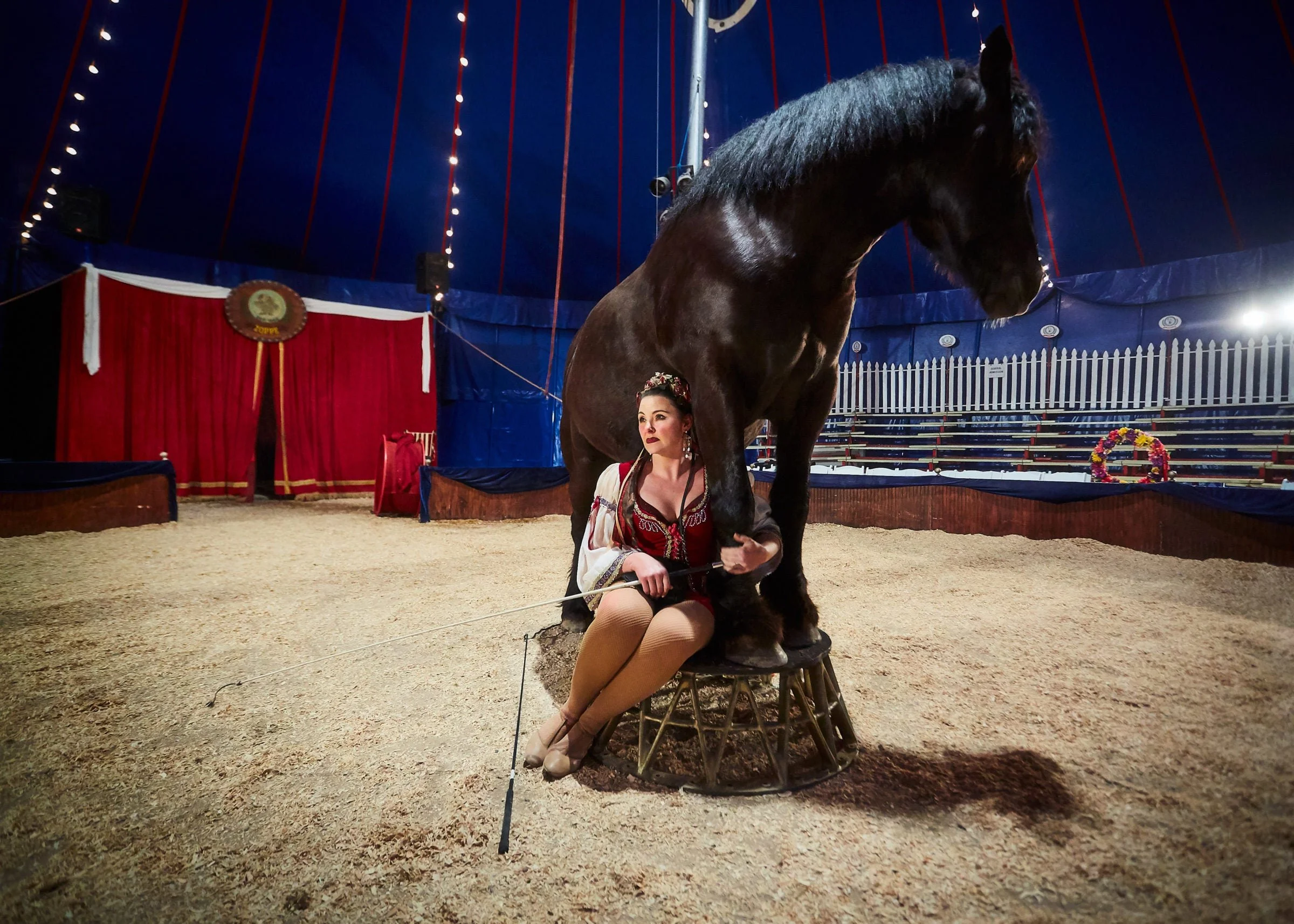 The Circus — The Michiana Event Center