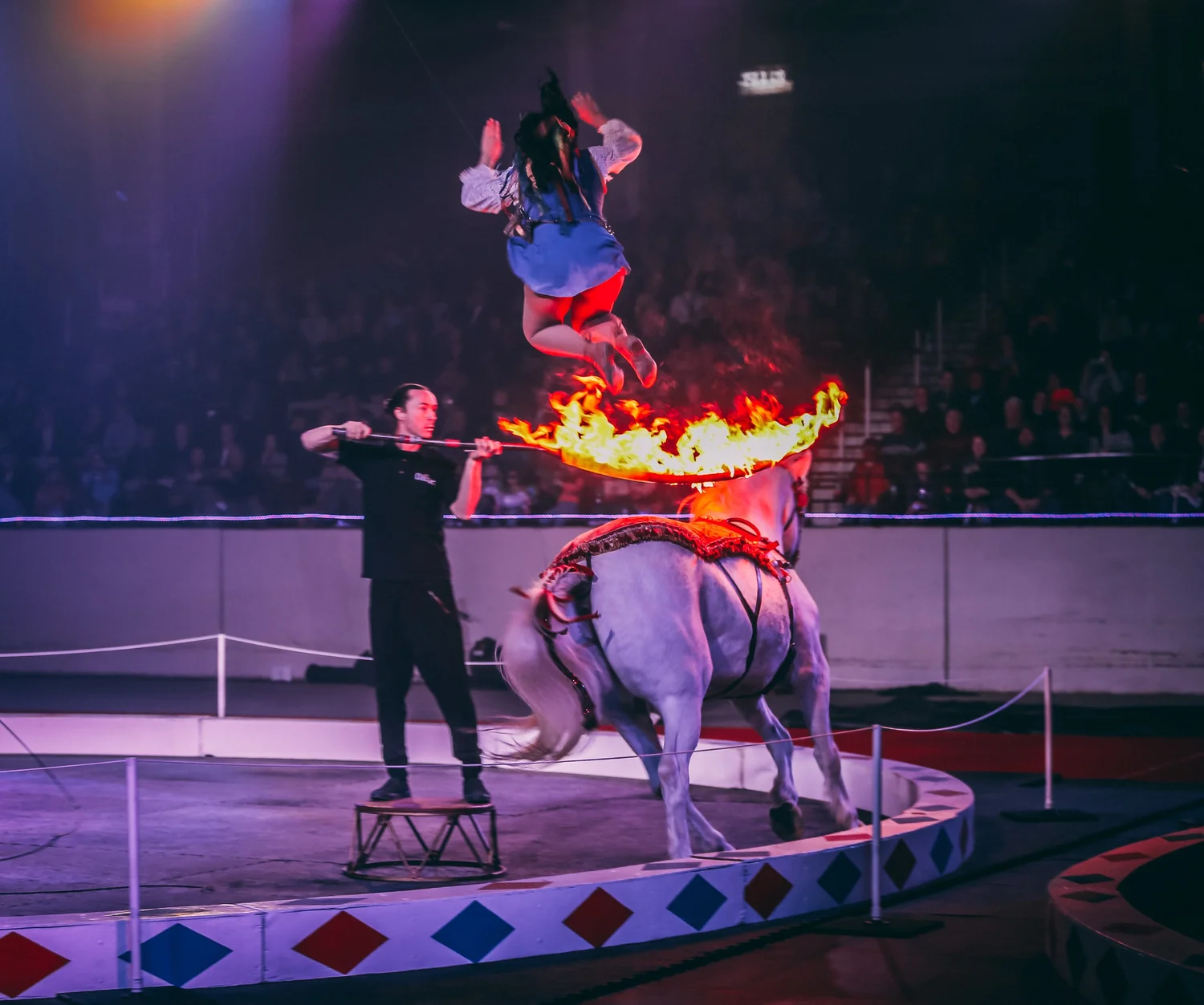 The Circus — The Michiana Event Center