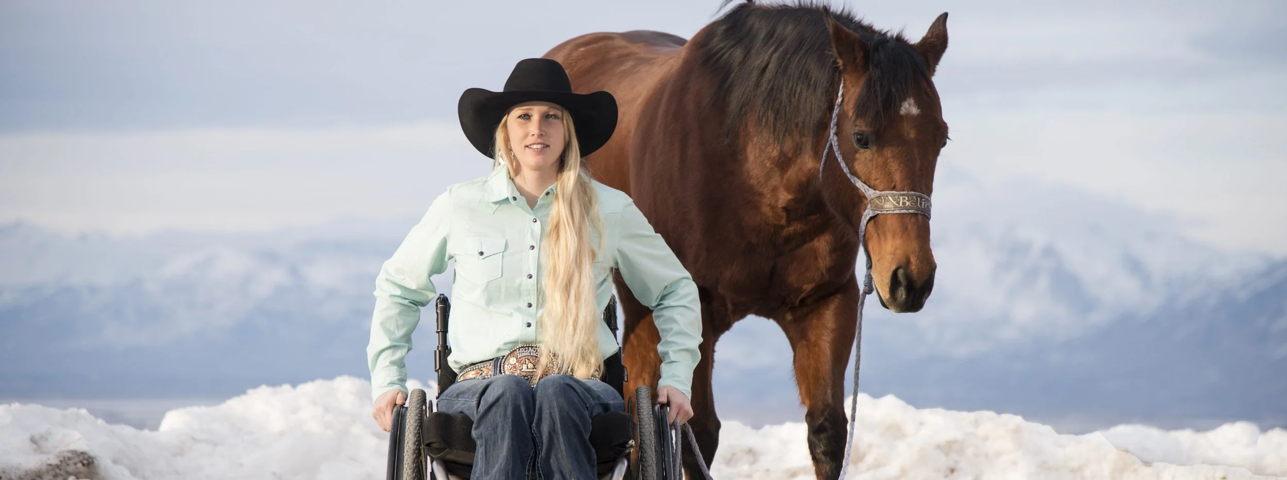 Michiana Equine Expo — The Michiana Event Center