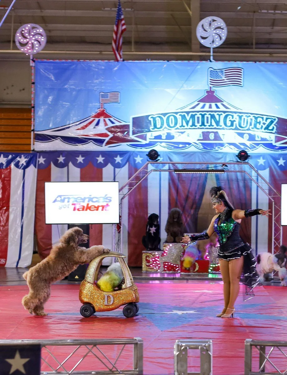 The Circus — The Michiana Event Center