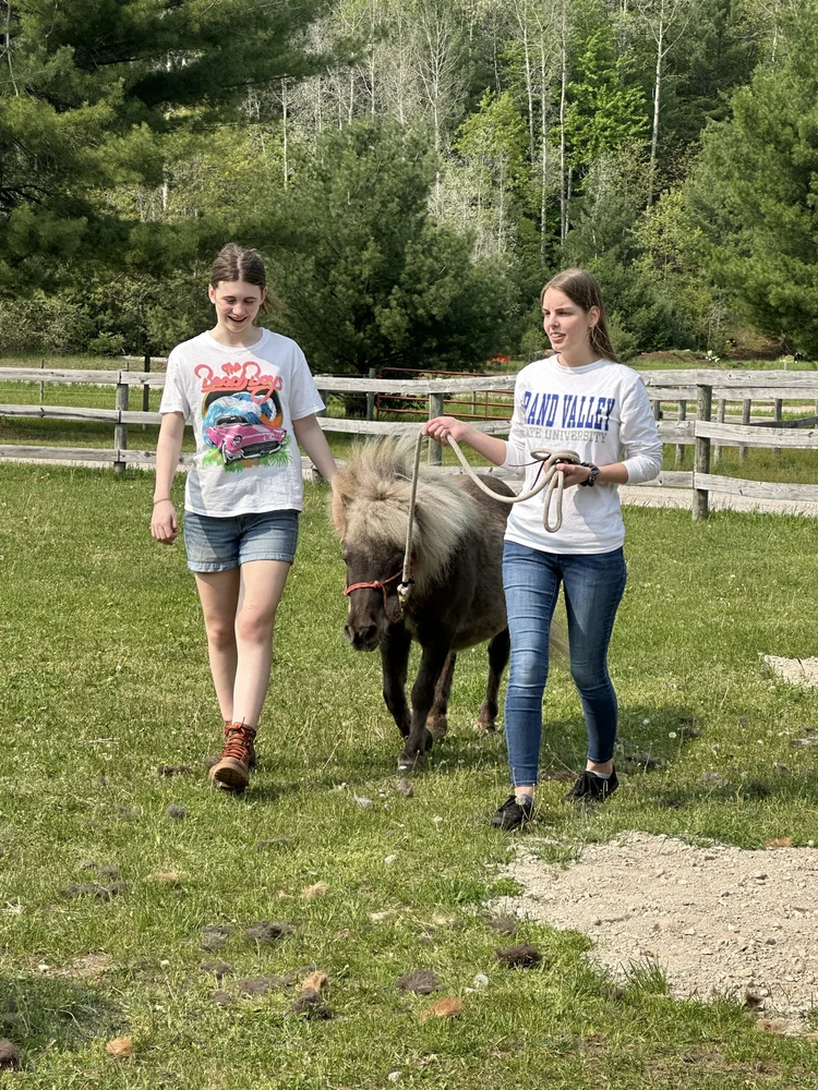 Our Services — BrickWays