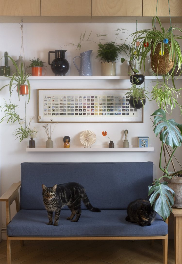 The Collection by Rachel Spelling — Studio Spelling