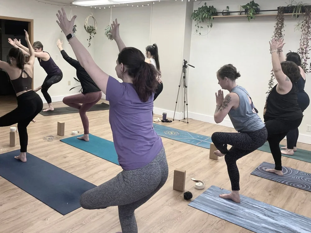 Sangha Yoga & Wellness