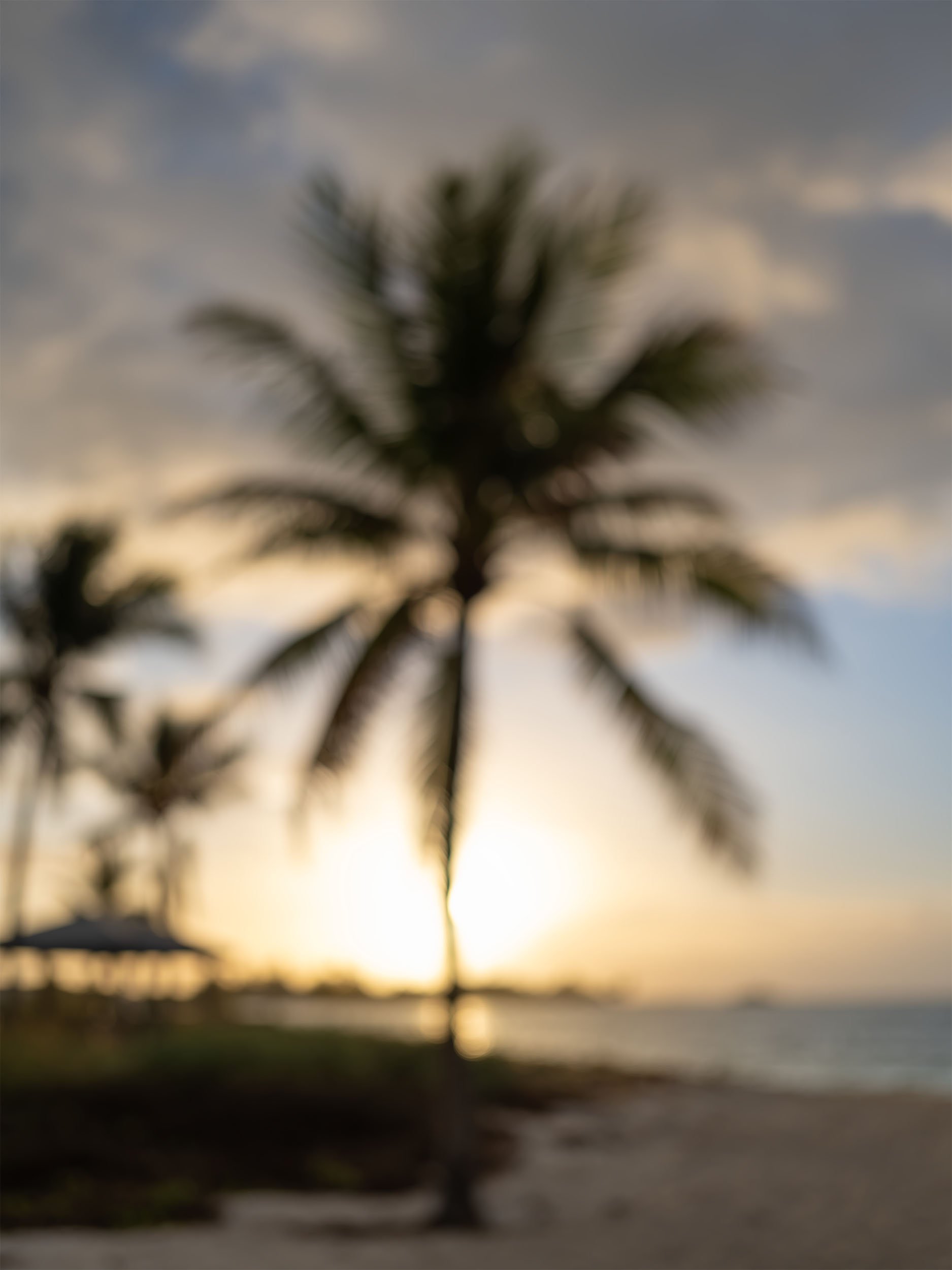 Schonfeld Miami Landscapes — John Duckworth