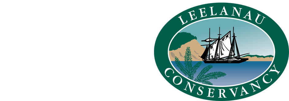 Registration — M22 Challenge