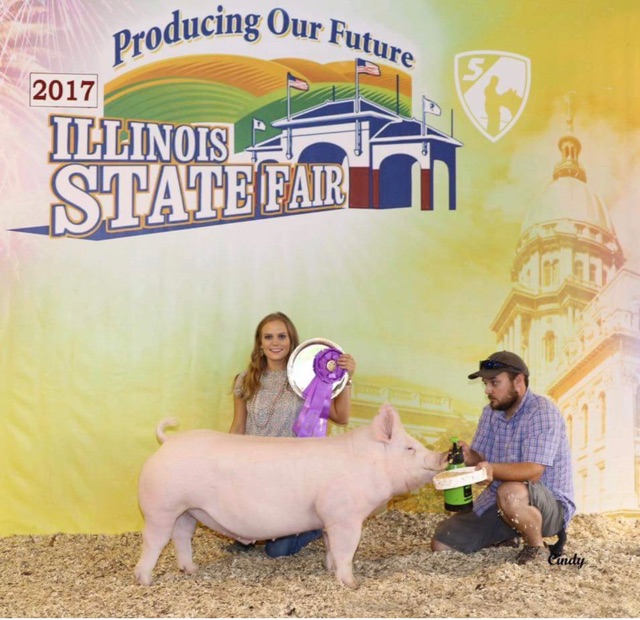 Champions — Trogdon Show Pigs