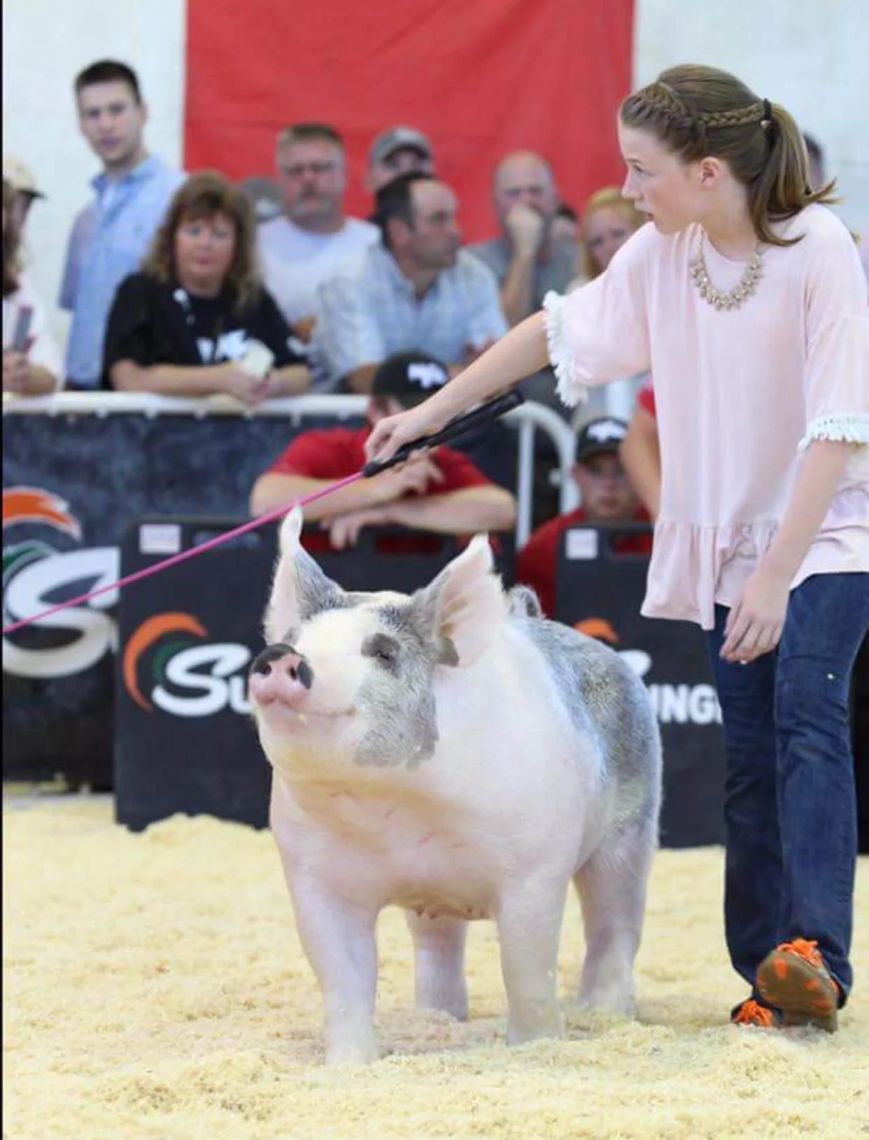 Trogdon Show Pigs