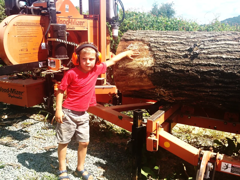 Sawmill — TIMBER MADE COMPANY