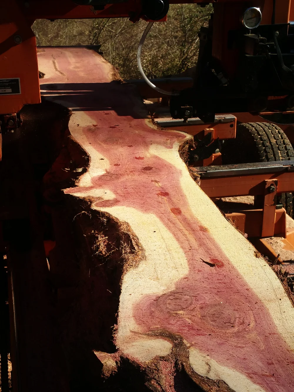 Sawmill — TIMBER MADE COMPANY