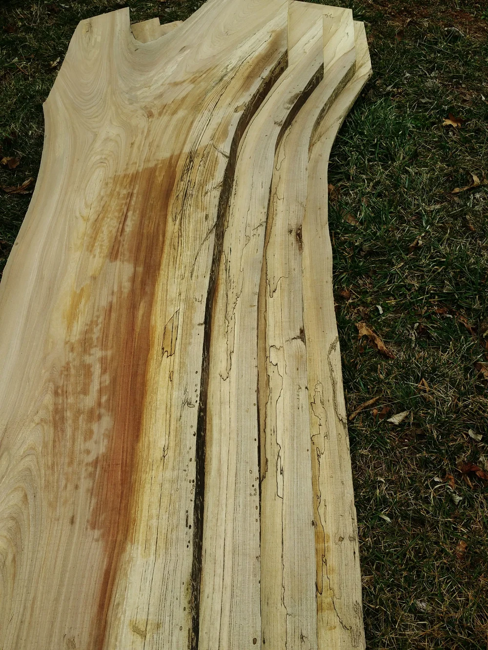 Sawmill — TIMBER MADE COMPANY