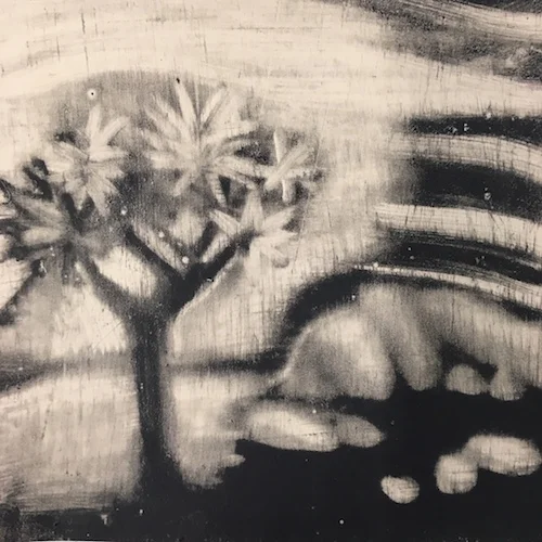 JANUARY 2019 — Small Orange